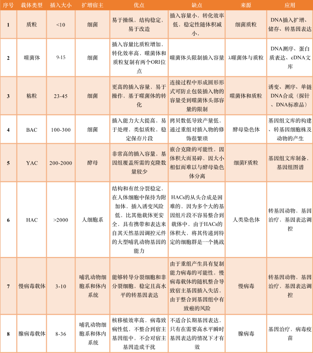 悦读系列：载体 基因递送载体指南克隆细胞片段
