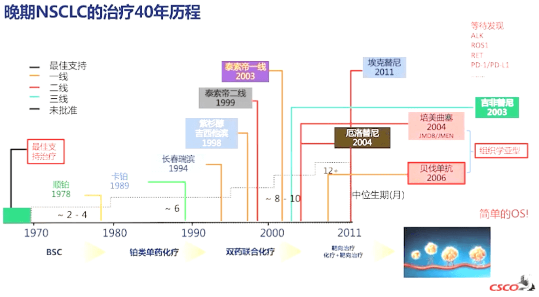 晚期 NSCLC 抗血管生成治疗，你想知道的都在这里了丨CSCO 2022_研究_化疗_患者