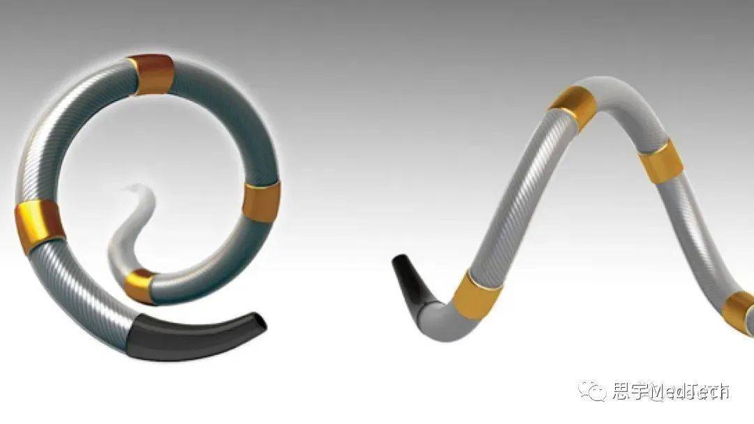 提交FDA申请！美敦力RDN有新进展_结果_Spyral_试验