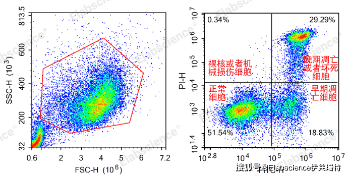 Annexin V凋亡实验超详细攻略_细胞_结果_补偿