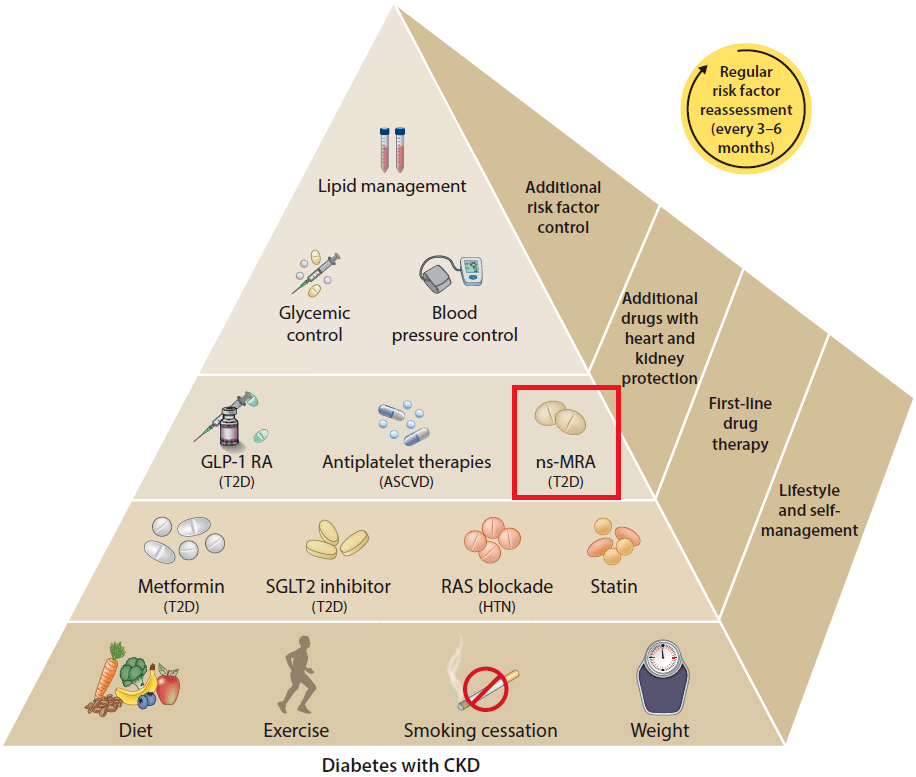 T2D相关CKD指南接连更新！从KDIGO到ADA，新型非甾体MRA为何频获推荐？_患者_治疗_建议