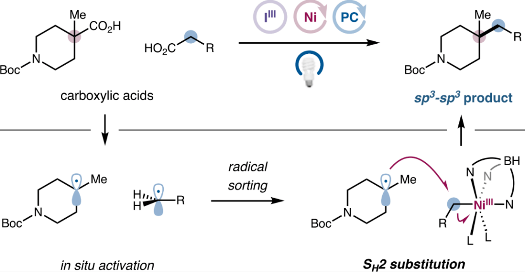 JACS：镍催化双分子均裂取代(SH2)交叉脱羧偶联_反应_烷基_金属