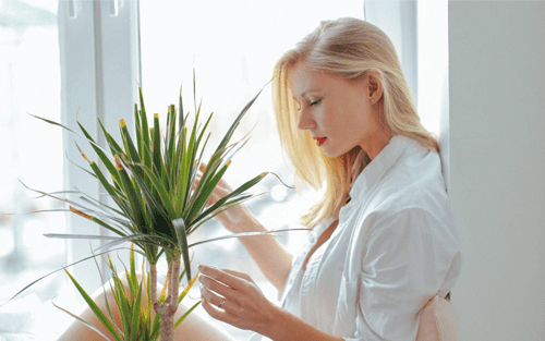 让男人越来越爱的，是 有脾气”的女人伤害才能感情