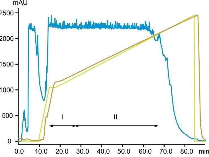 纯化宝典：Source 15Q在寡核苷酸纯化中的应用_进行_样品_ml