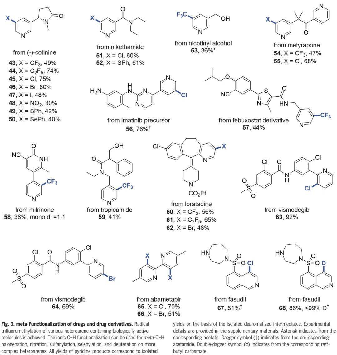 Studer组Science：吡啶化合物的自由基和离子型间位C-H官能团化_反应_Fig_选择性