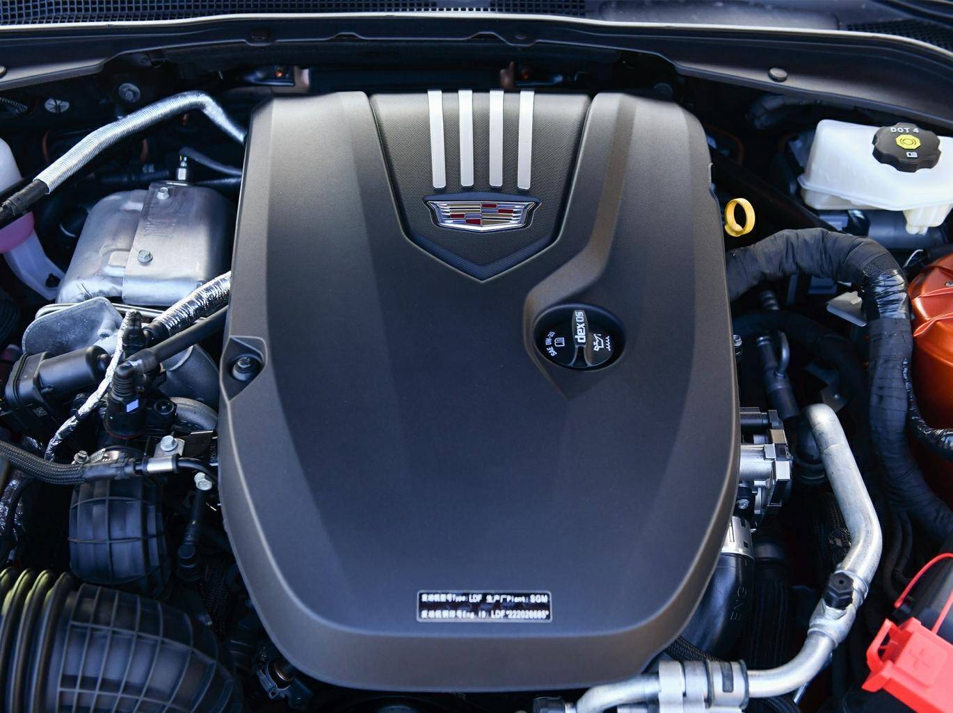 凯迪拉克将推入门轿跑SUV，或比XT4便宜，搭1.5T/2.0T，轴距2米8_搜狐汽车_搜狐网