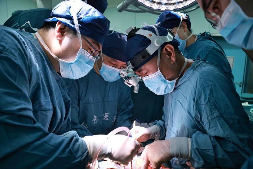 国内首例：西京医院创新术式根治性切除腹主动脉区域腹膜后肿瘤_手术_血管_腹腔