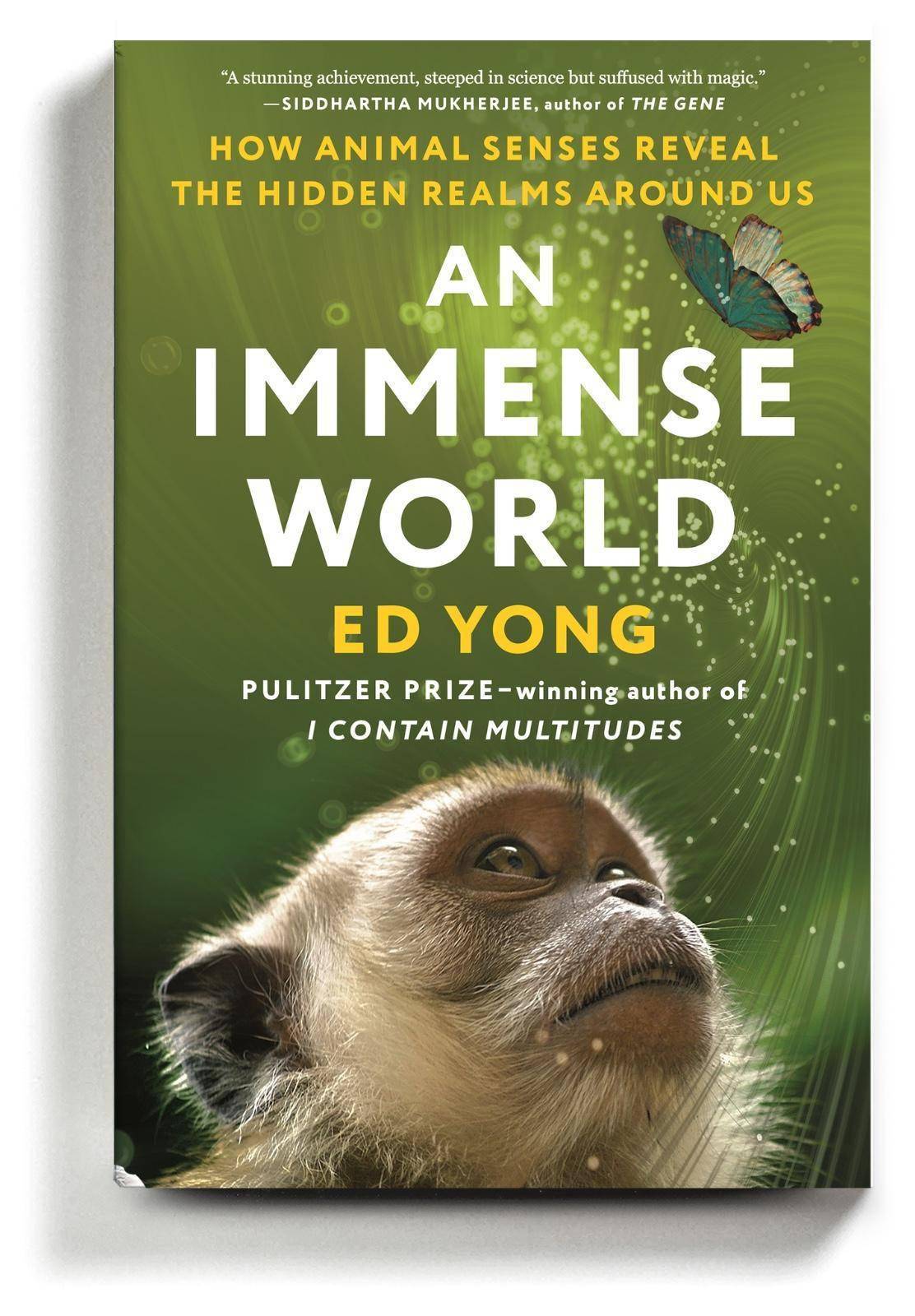 2022年最佳书籍：这一年，你得到了什么？_Wheel_故事_新书