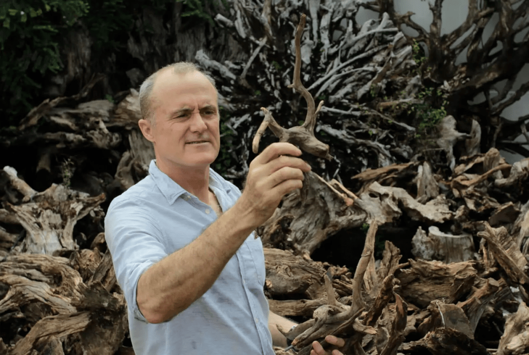 James Doran-Webb | 神形俱备的浮木雕塑_工作_古董_作品