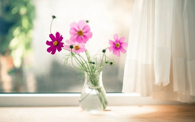 ۞ 每 日 一 悟 ۞人生生活天气