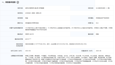 投资近138亿元！云南新项目审批，包括BDO-PTMEG/GBL-NMP产业链_技术_装置_原料