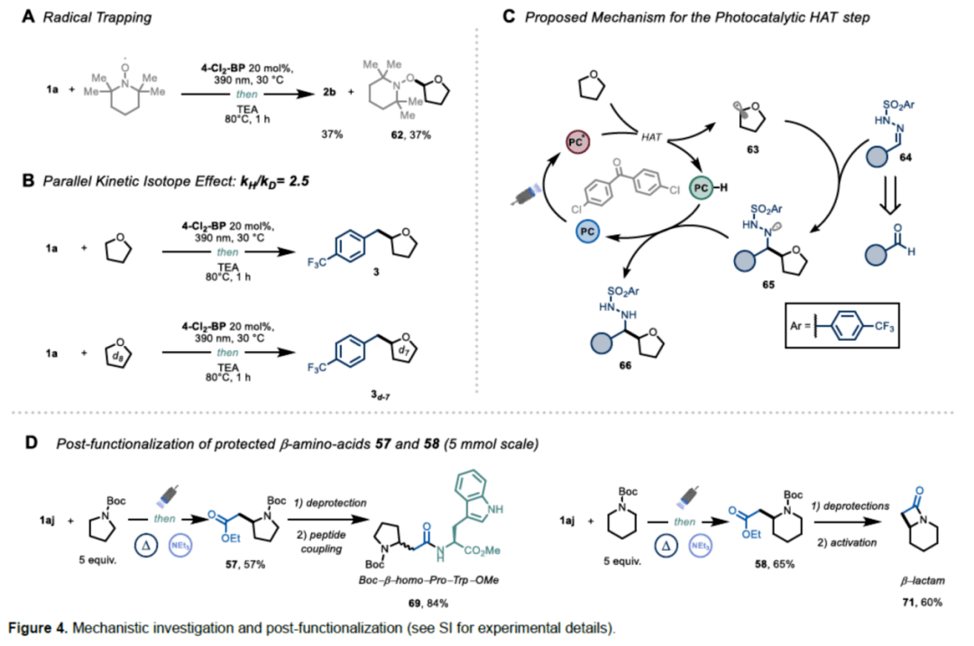 Angew：光催化C(sp3)-H键的烷基化反应_Figure_合成_策略