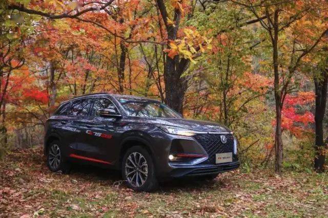 SUV中的“真香”选择 宋Pro DM-i的魔力到底在哪？_搜狐汽车_搜狐网