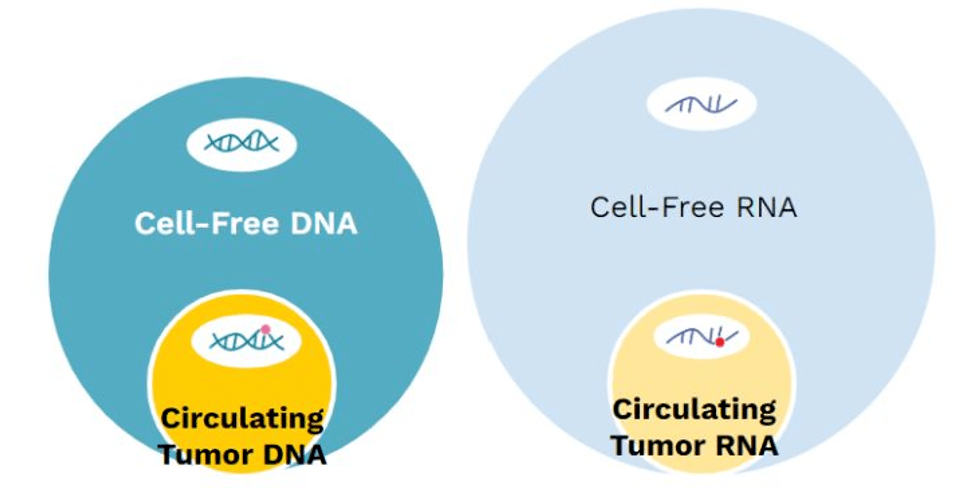 CEO谈研发 | 循环肿瘤RNA(ctRNA)与循环游离RNA(cfRNA)的区别和优势_检测_ctDNA_路胜