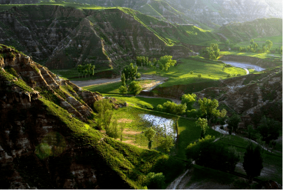 鄂尔多斯市：高质量推进国家可持续发展议程创新示范区建设_工作_科技_荒漠化