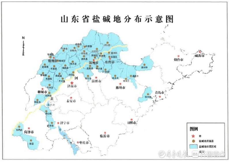 《山东省盐碱地生态渔业发展规划（2022 2030年）》出台 养殖 水产 池塘