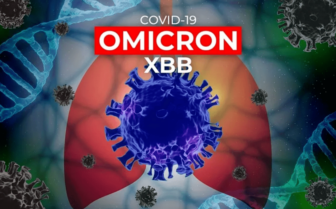 上海、杭州检测到XBB毒株，2023年我们能逃过二次感染吗？_密克_免疫_美国