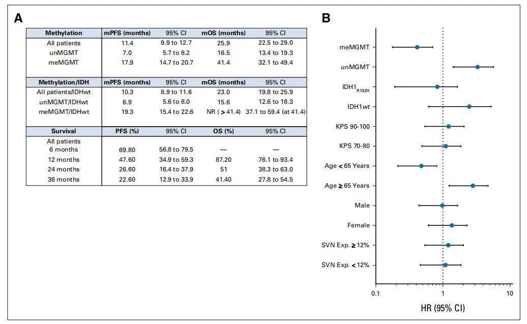 最新研究 | SurVaxM疫苗联合替莫唑胺治疗胶质母细胞瘤IIa期临床试验结果积极_患者_肿瘤_诊断