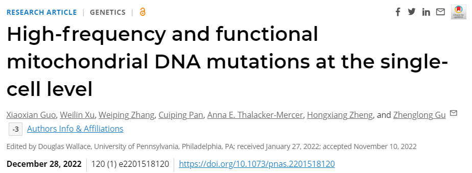 PNAS | 单细胞测序新技术揭示衰老个体中广泛存在高频的有害线粒体DNA突变_mtDNA_淋巴细胞_研究