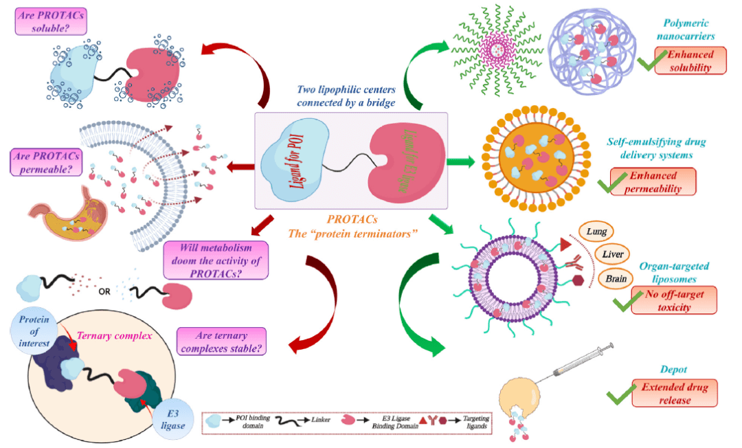 蛋白水解靶向嵌合体（PROTACs）的药物递送和配方_细胞_化学元素_阻断