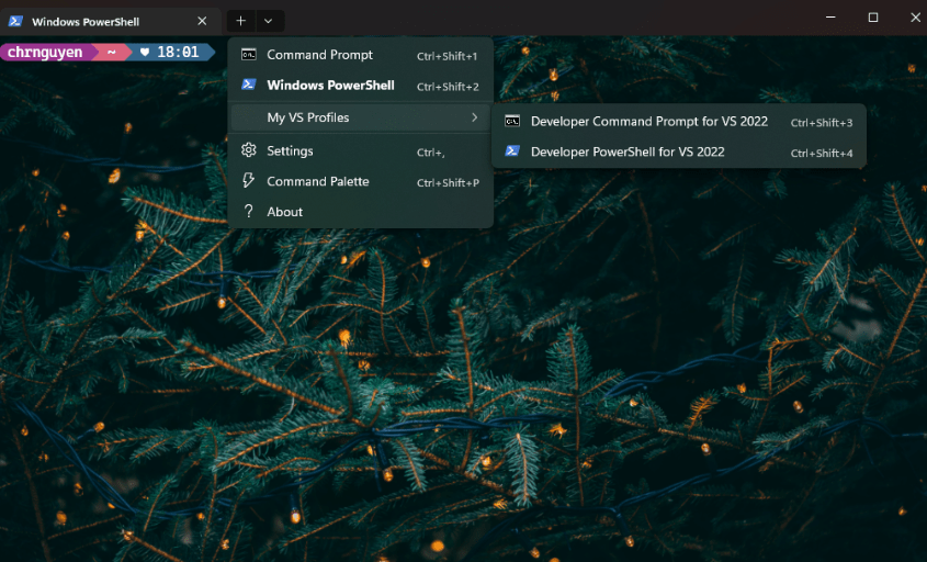 微软 Windows Terminal 预览版 1.17 发布，支持 Mica 云母效果_方案_用户_页面