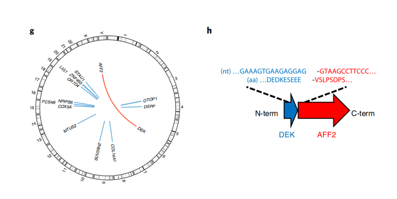 肺癌这个新驱动基因，99% 医生不知道！_肿瘤_病例_细胞