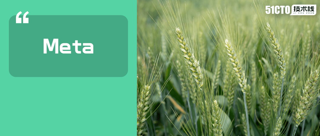 Meta：在回暖、在赚钱，但仍要继续裁员_扎克伯格_宇宙_公司