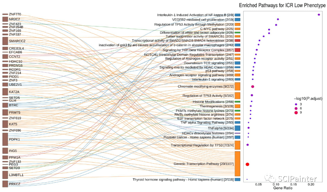 如何绘制桑基气泡组合图？富集结果五维度全新展示！_ratio_count_kegg