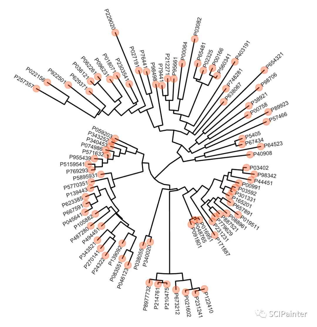 如何绘制添加分类色块的进化树？_ggtree_size_color