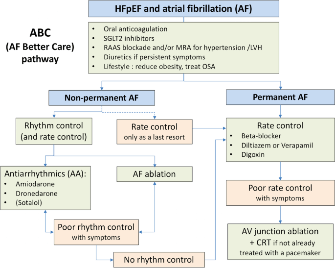 射血分数保留的心衰和房颤：最新进展和尚未解决的问题_患者_心力衰竭_风险