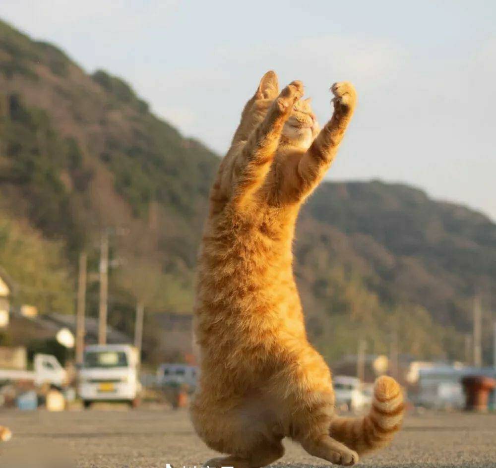 016-MyBatis完成insert使用Map集合传参