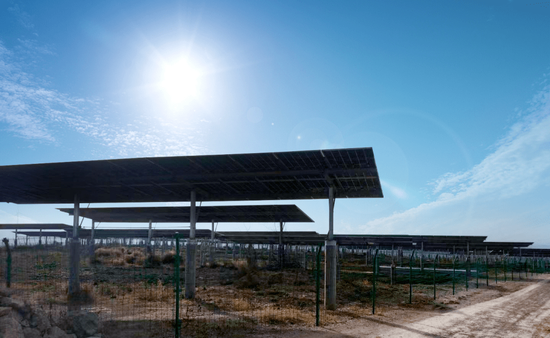 100MW！正泰新能源助力山西平陆迈出农光应用新步伐 _项目_发电_平陆县