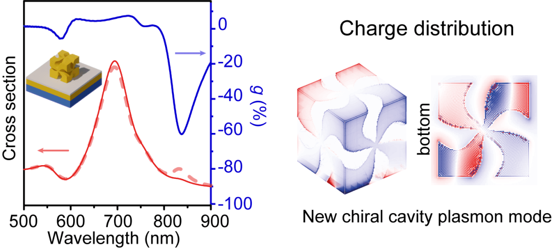 中山大学邵磊AOM：等离激元纳腔增强纳米颗粒的手性光学响应_结构_领域_模式