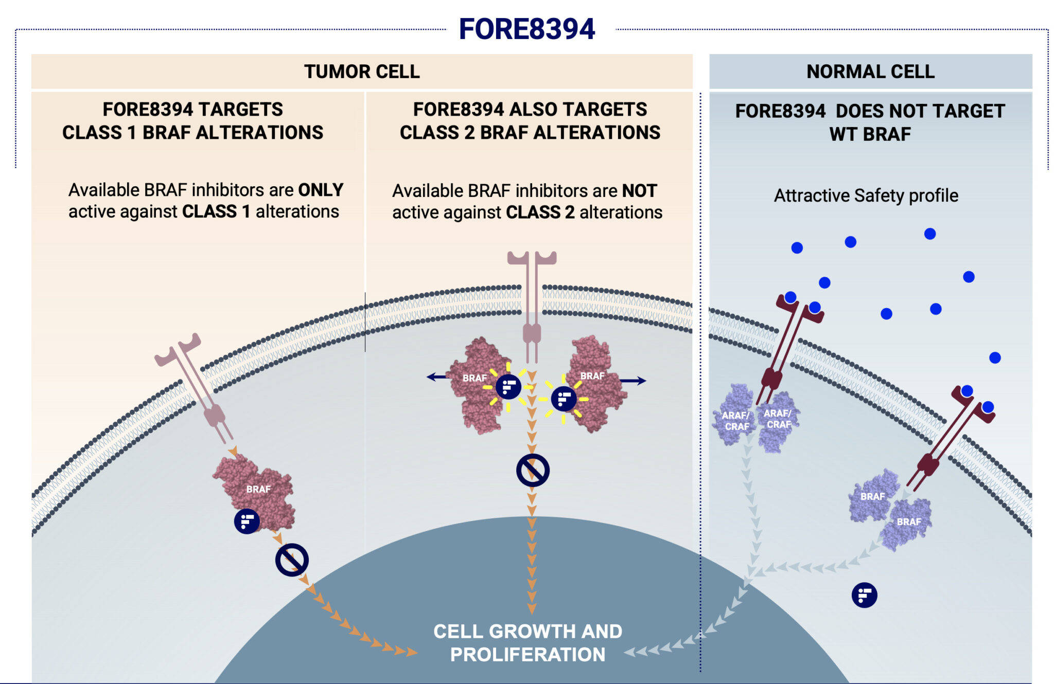 FDA授予FORE8394孤儿药指定，治疗CNS恶性肿瘤_临床_香港_患者