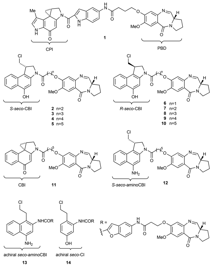 盘点ADC有效载荷背后的故事：倍癌霉素-PBD异二聚体_化合物_合成_保护