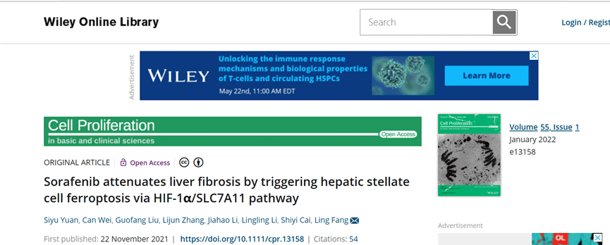 文献分享Cell Prolif.(IF8.755)--老药新用之造血干细胞铁死亡在索拉非尼的抗纤维化作用中的功能作用_实验_研究