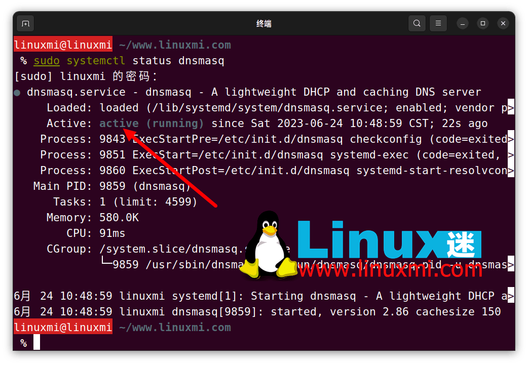 你真的会在 Linux 上查看和刷新 DNS 缓存吗？_nscd_服务器发送_%sudo