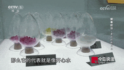 健康昭通 | 这种“巧克力”，千万别沾！_毒品_大麻_成分