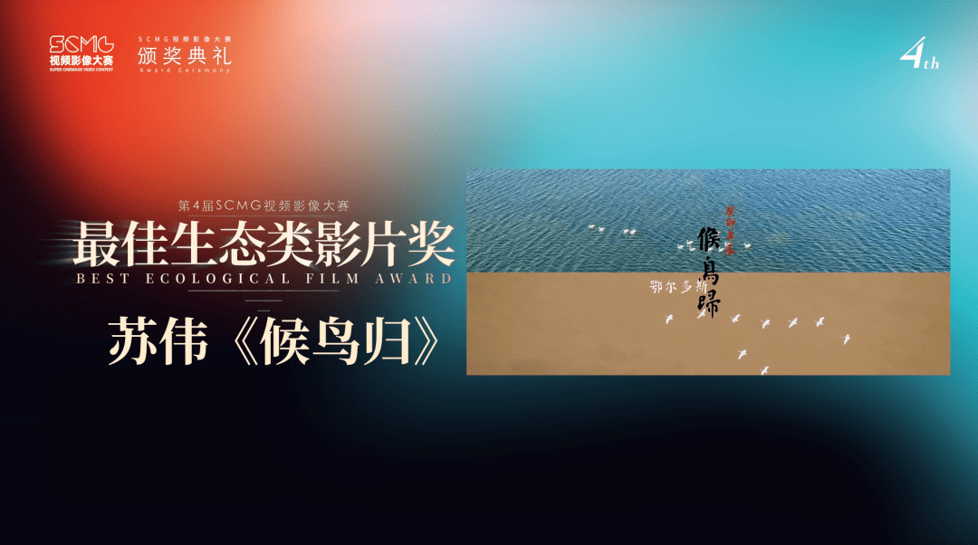 第四届SCMG视频影像大赛初选入围作品展映06 「候鸟归」_赛场_影片奖_主创