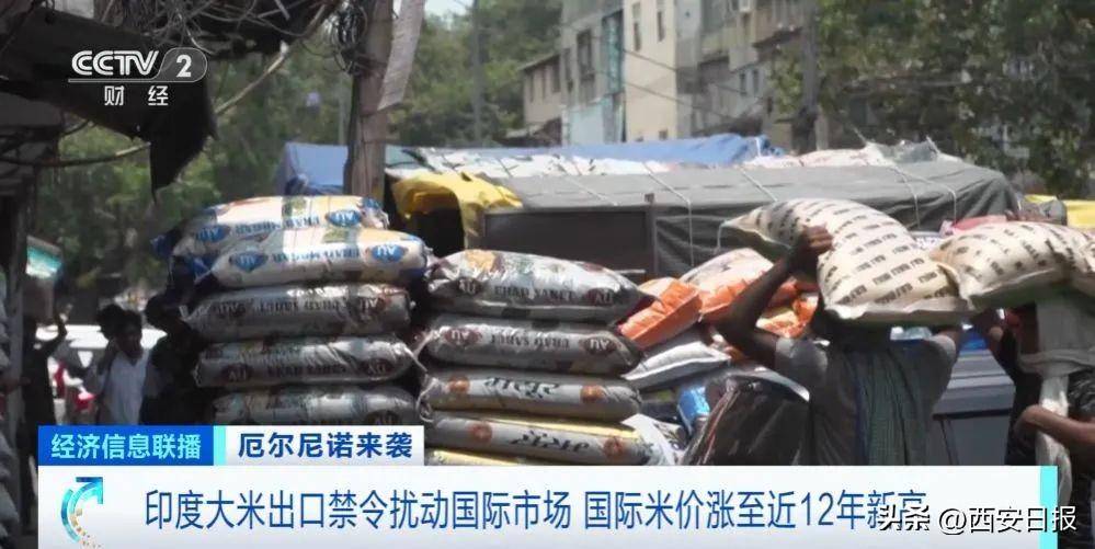 这一禁令，扰动国际市场！ 大米 出口 全球
