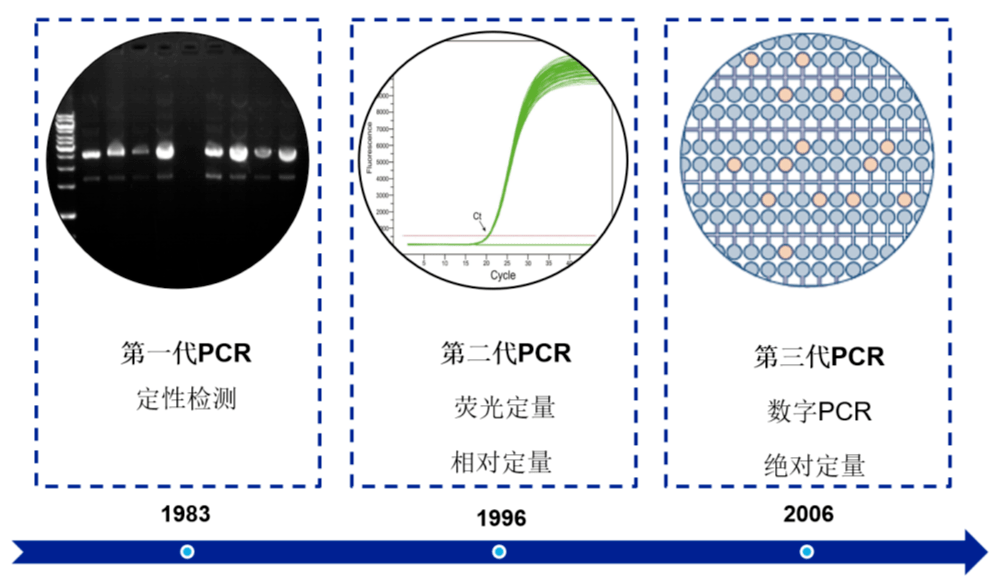 数字PCR技术：一种高精度、超灵敏的核酸绝对定量技术_检测_荧光_分子生物学