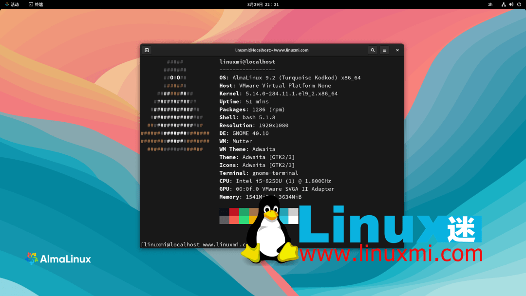 AlmaLinux 新增两个软件源，将企业级 Linux 之旅推向新高_仓库_Synergy_Testing