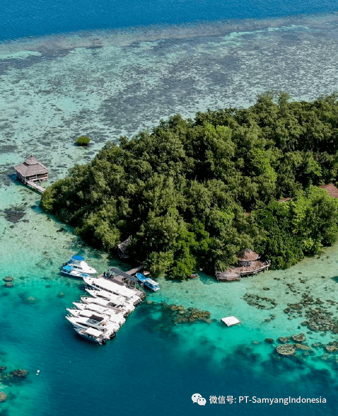 印尼千岛游强烈推荐——马坎岛（Macan Island）_三阳_岛屿_游客