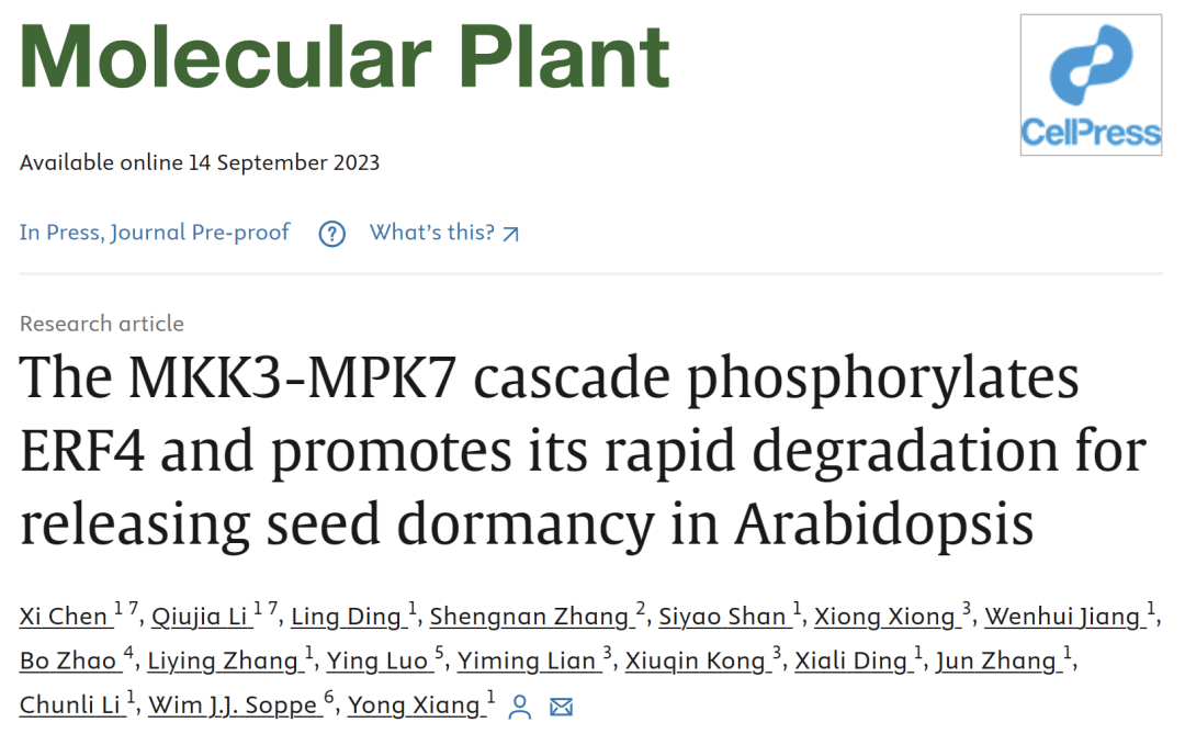 Mol Plant | 农科院基因组所向勇团队揭示了种子释放休眠启动萌发的新机制_研究_调控_in