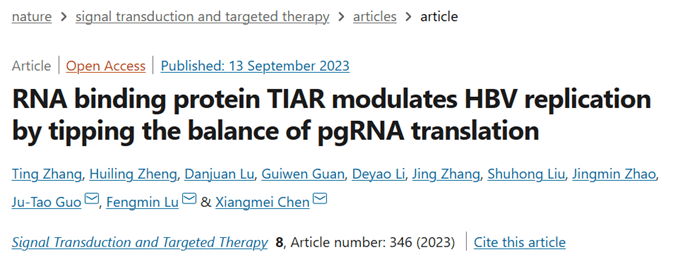 STTT | 鲁凤民/陈香梅团队揭示宿主RNA结合蛋白TIAR调控乙型肝炎病毒复制的新机制_pgRNA_研究_Pol