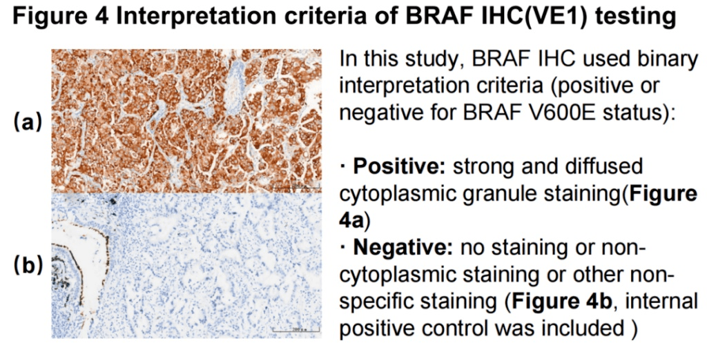 BRAF 突变 NSCLC 如何选择合适的检测方法？这一新证据你需要了解｜WCLC 2023_患者_研究_结果