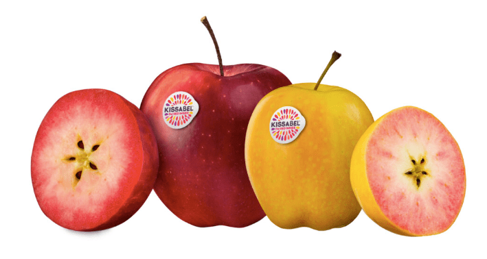 European Kissabel apple production up 40%_in_market_the