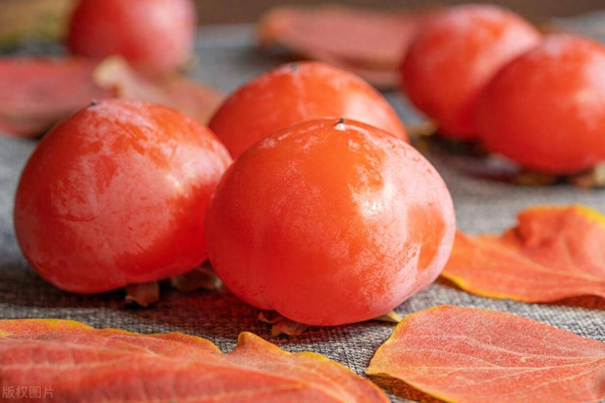 多“柿”之秋 爱吃柿子的你要小心“柿石症”_鞣酸_食用_蛋白质