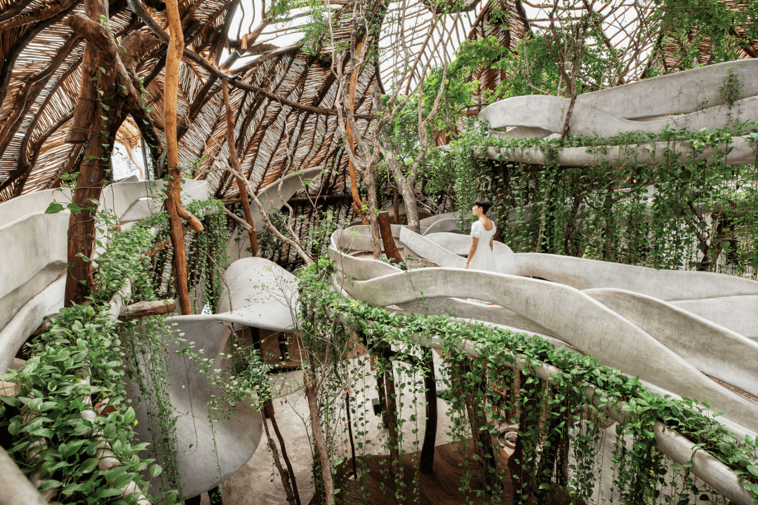 设计灵感丨建筑的自然亲和力_生物_结构_形状