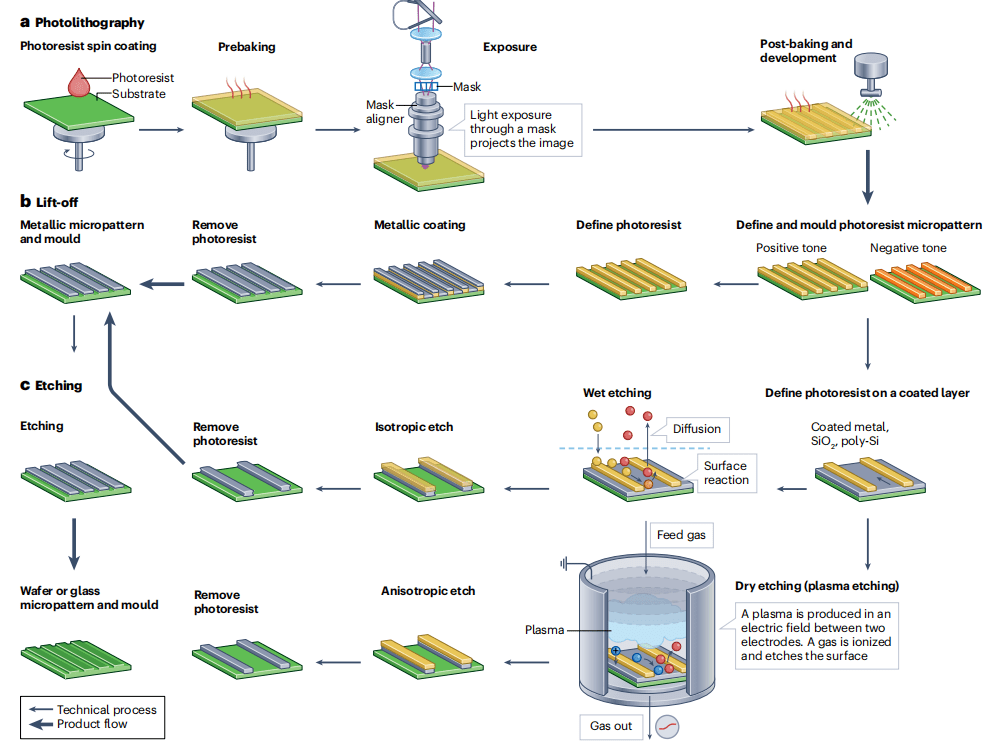 综述：受自然启发的微图案研究进展_表面_材料_结构